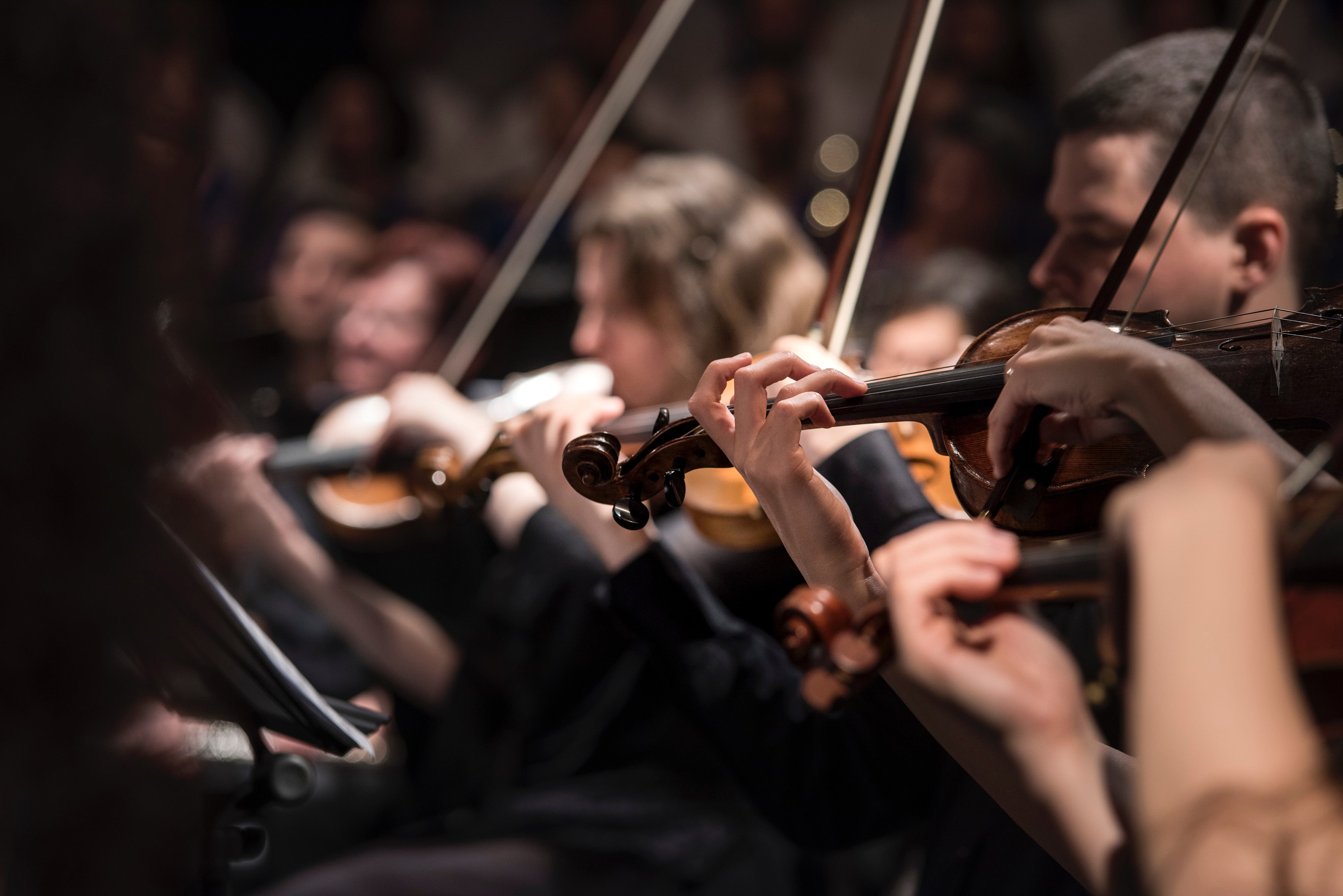Archi – Etichetta – Scarpellini Strumenti Musicali